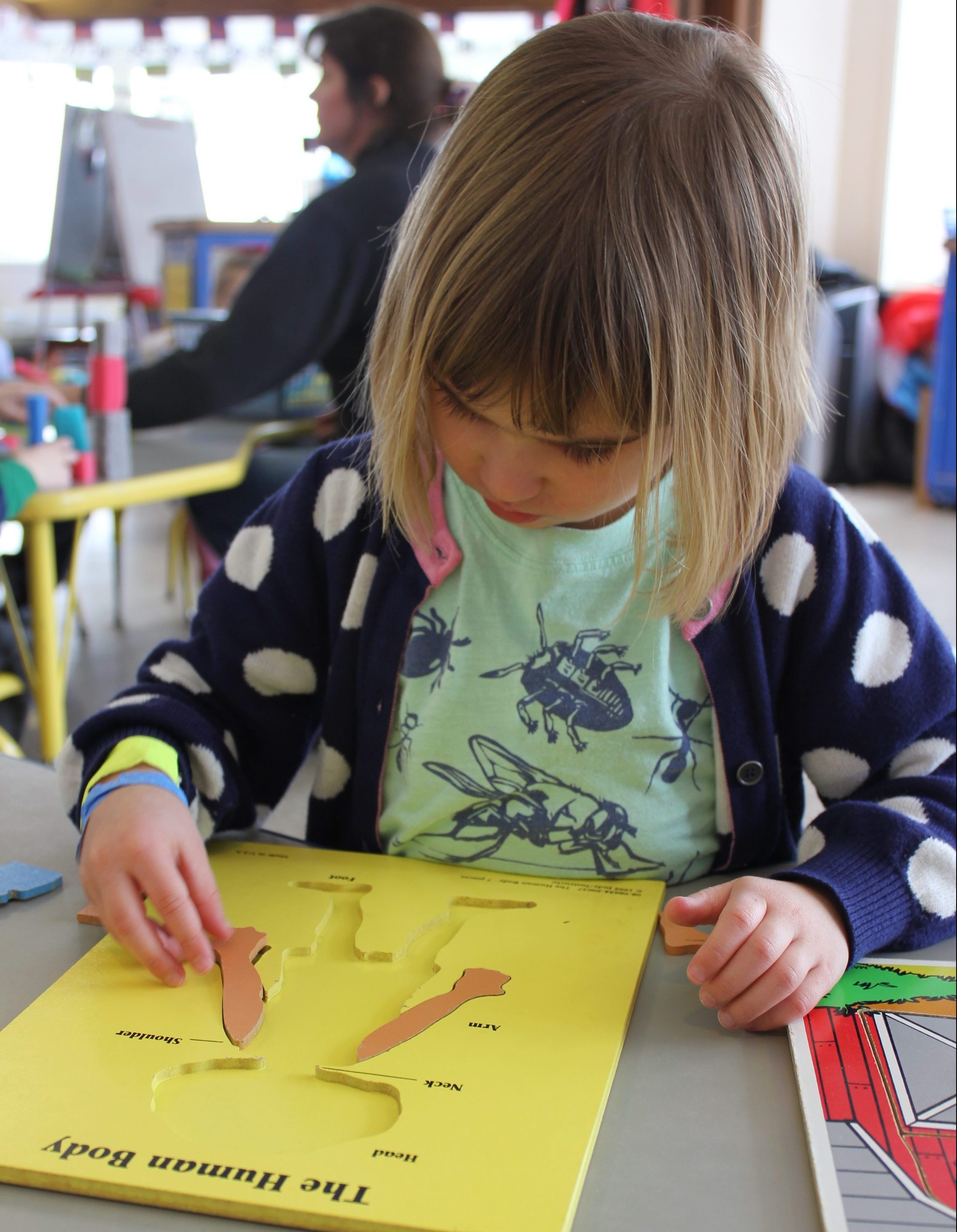 3 Year Old Class – Perinton Nursery School